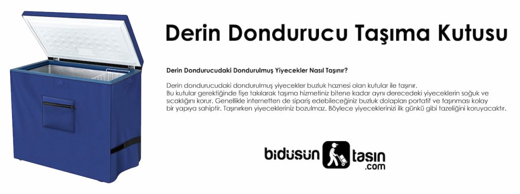 Derin Dondurucu Nasıl Taşınır? Taşınırken Derin Dondurucaki Yiyecekler
